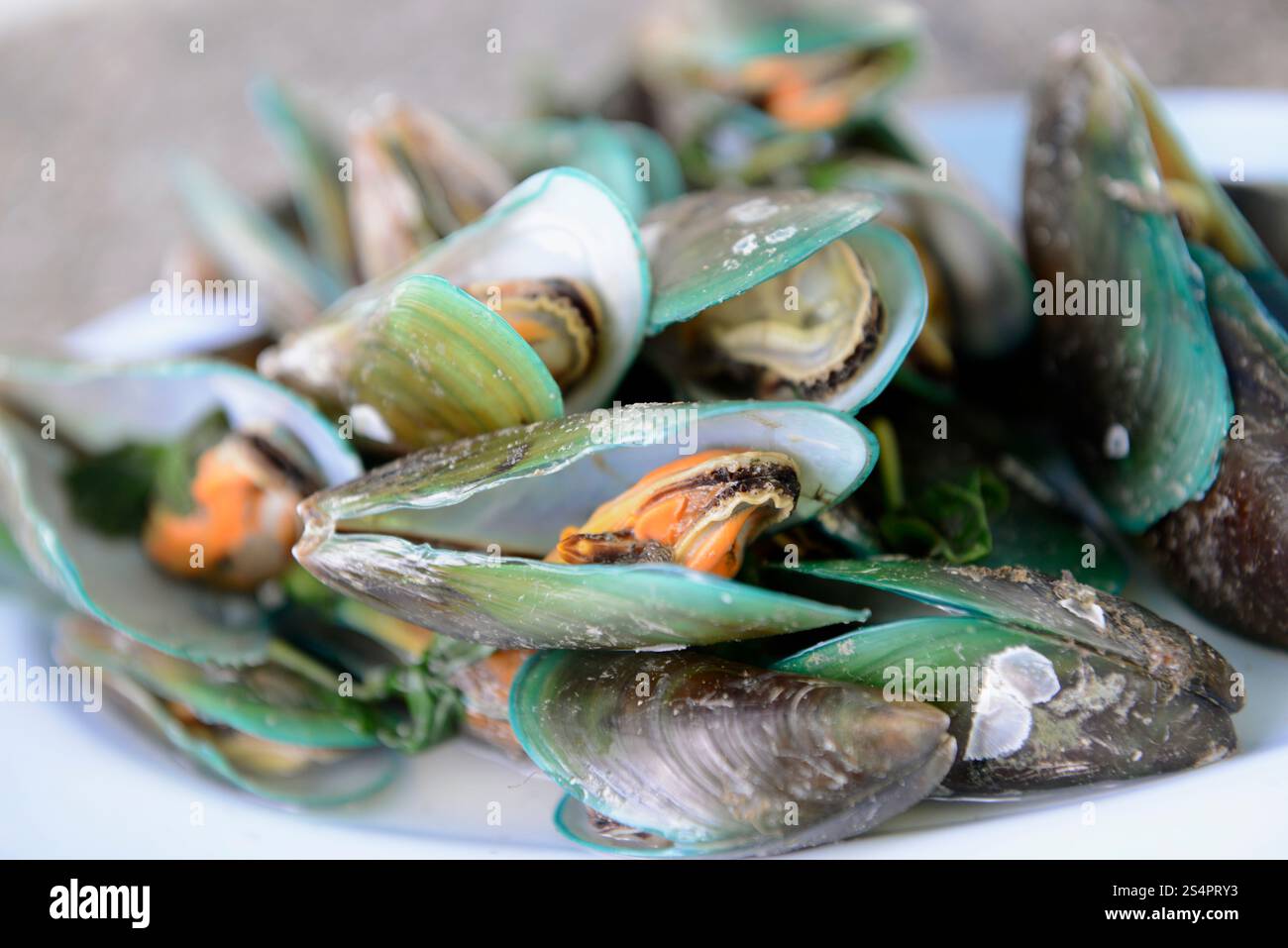 fresh shells and seafood in a Beach restaurant on the Rawai Beach on ...