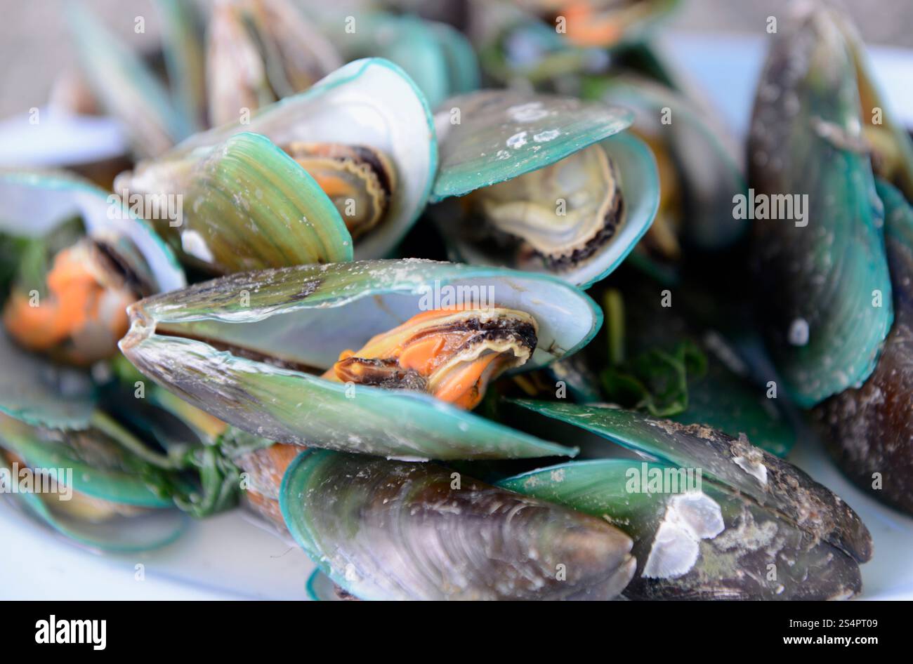 fresh shells and seafood in a Beach restaurant on the Rawai Beach on ...