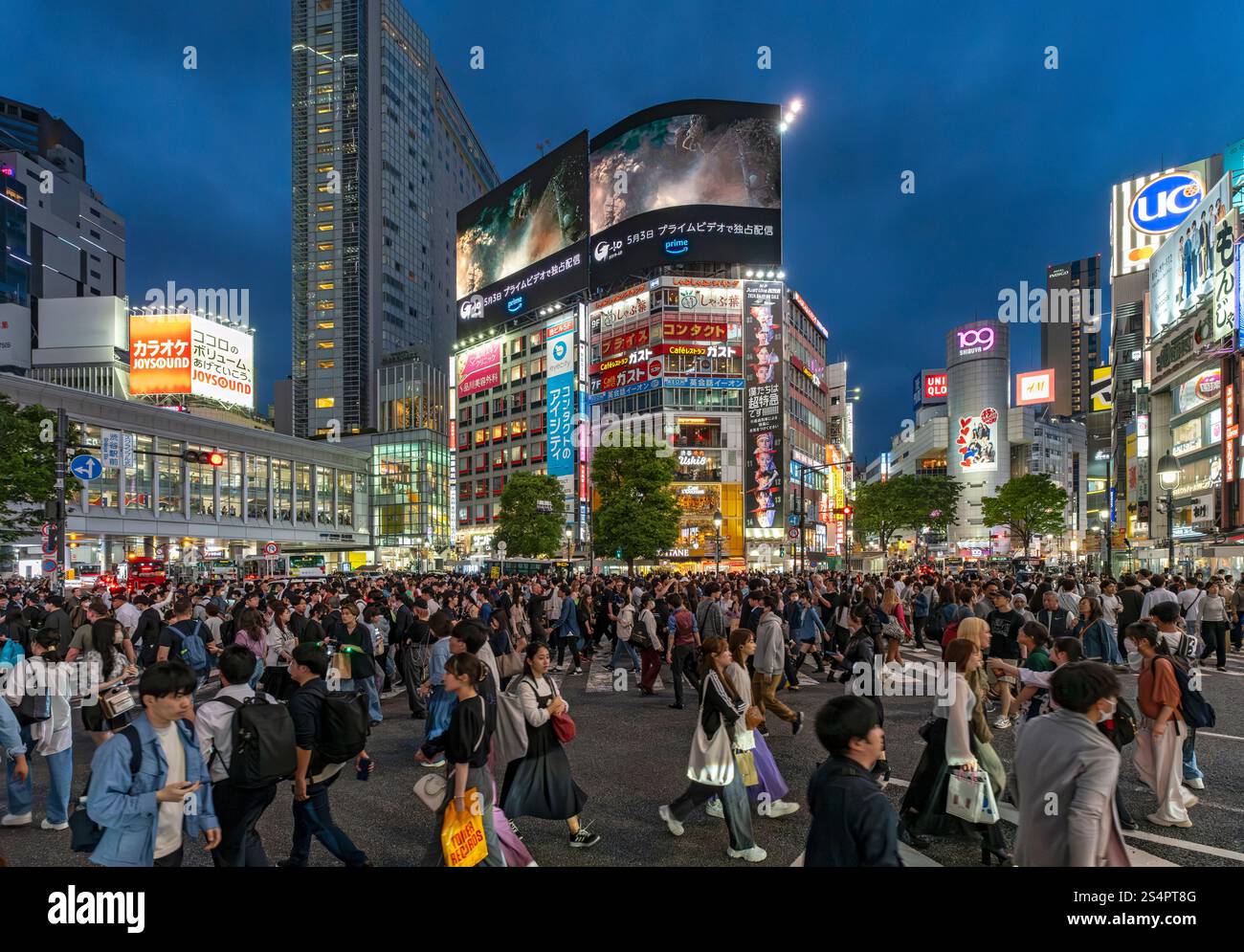 Shibuya crossing at night, Tokyo, Japan Stock Photo - Alamy