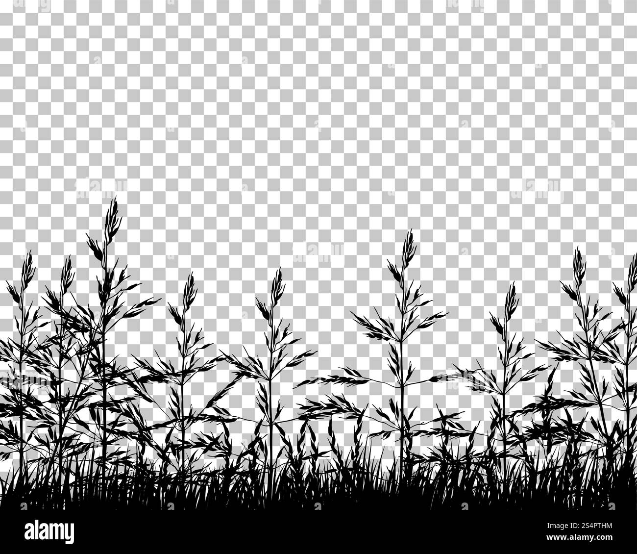 Meadow silhouette with transparency grid on back. Vector Illustration ...