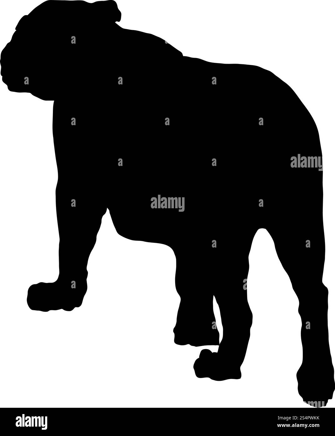 Lion Silhouette. Highly Detailed Smooth Design. Vector Illustration ...