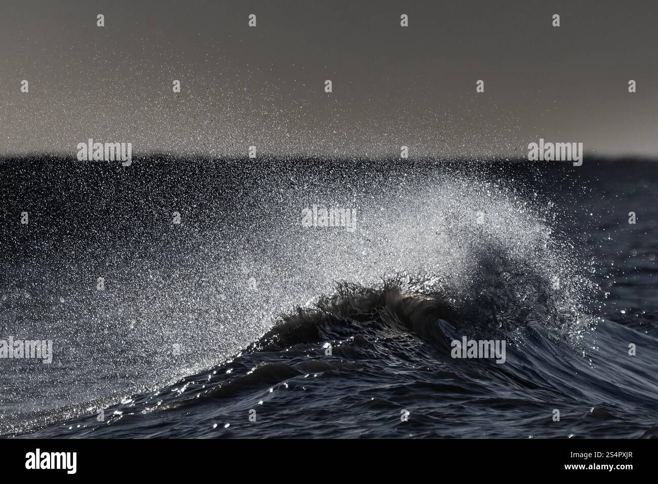A backlit wave starts to break Stock Photo - Alamy