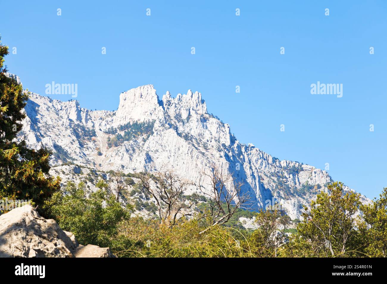 view of Ai-Petri peaks from Alupka garden, Crimea Stock Photo - Alamy
