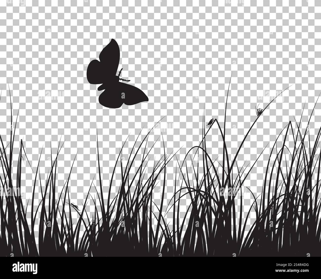 Meadow silhouette with transparency grid on back. Vector Illustration ...