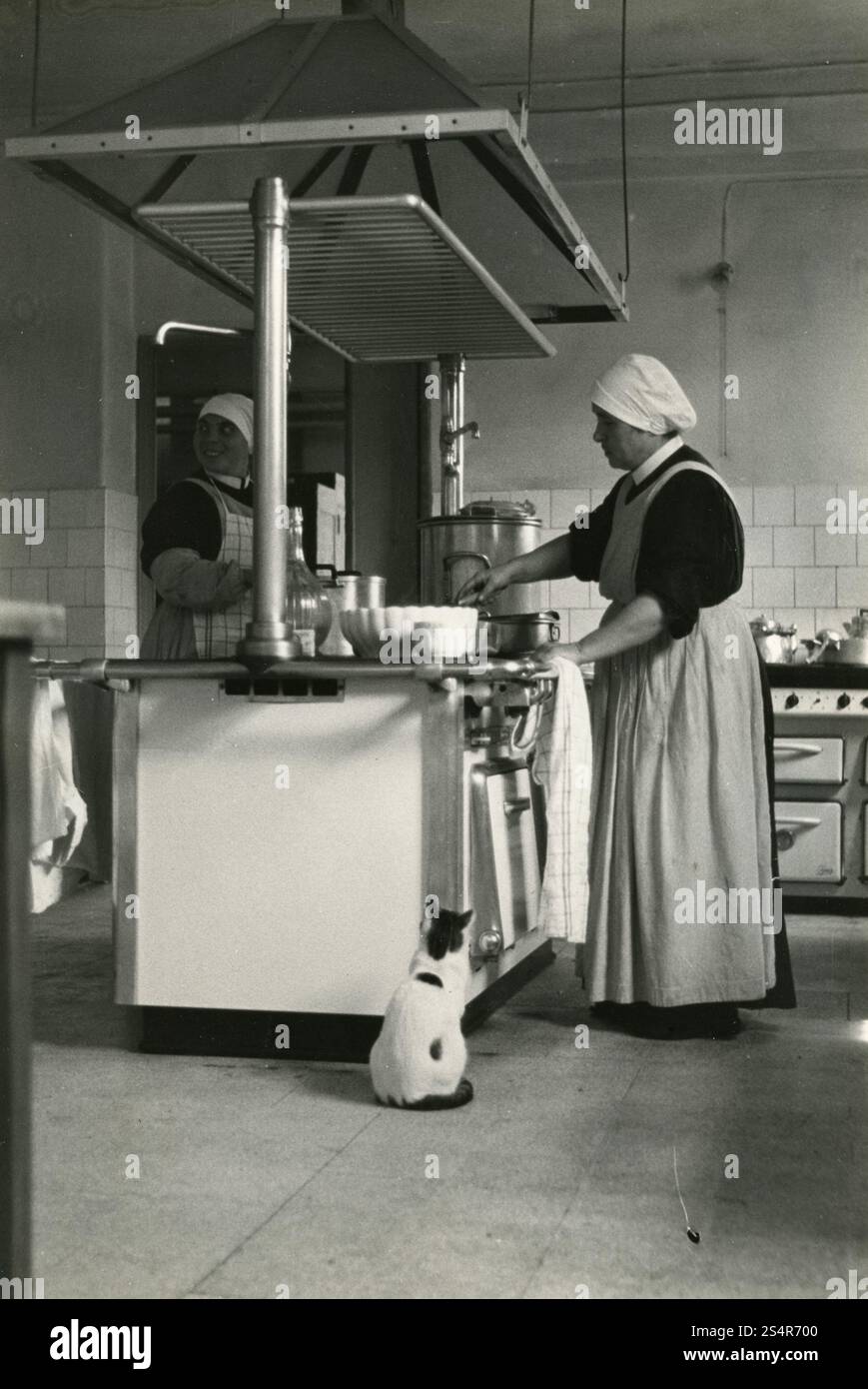 Nuns cooking in the kitchen of the convent while the cat is waiting ...