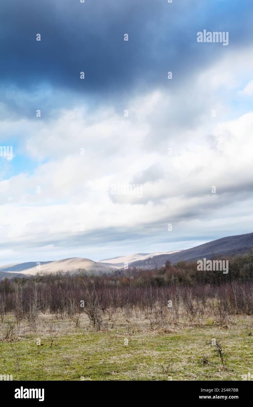 Forest in low mountain hi-res stock photography and images - Alamy