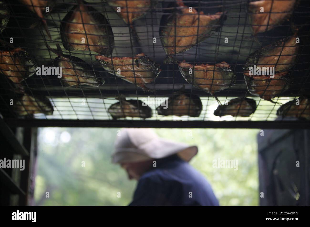 fresh fish getting smoket on a Summer Festival in a Parc in the old ...