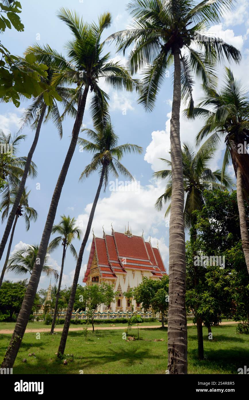The Tempel Wat Pak Saeng near Lakhon Pheng on the Mekong River in the ...
