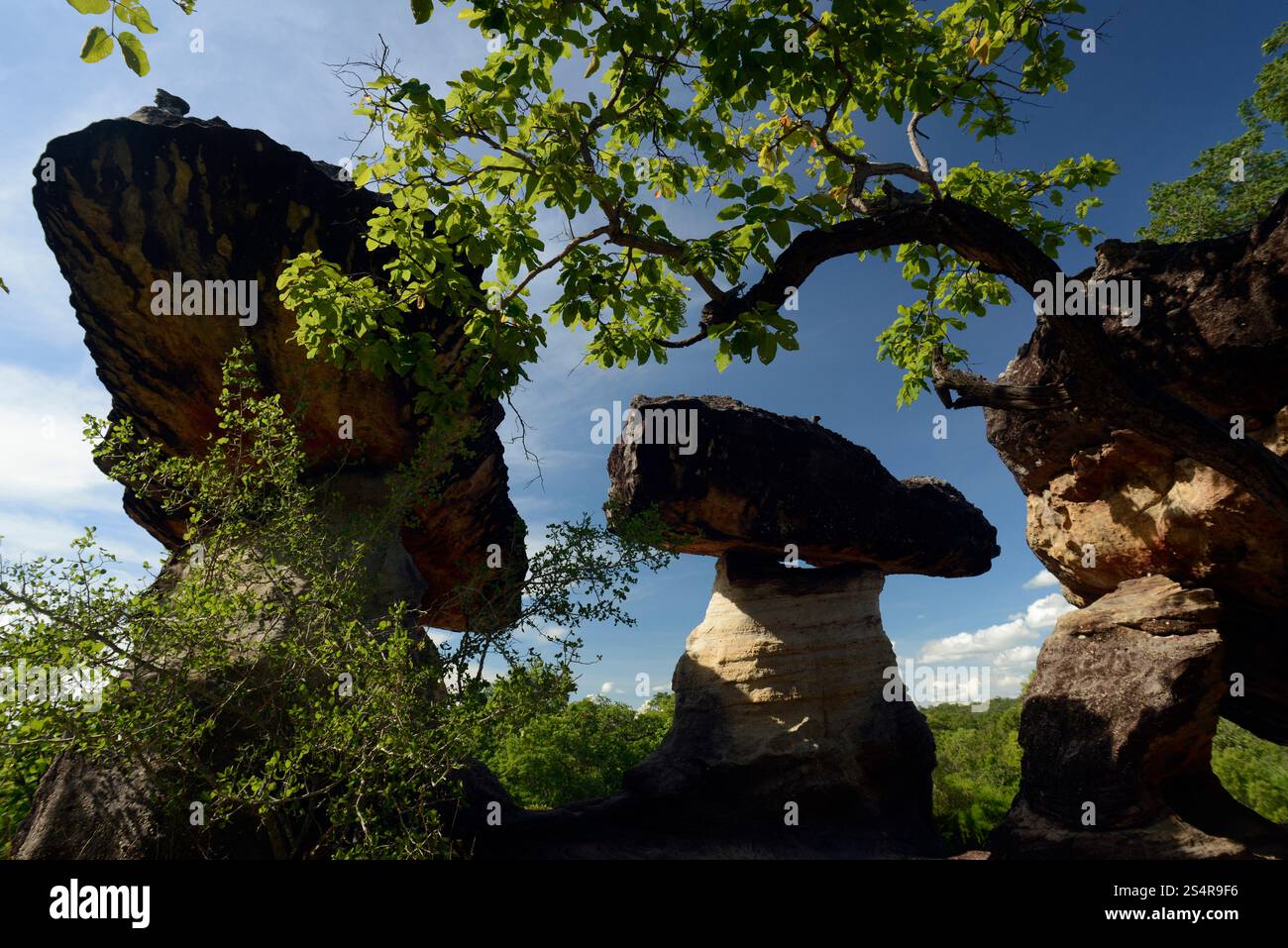 the stone formation in the Pha Taem Nationalpark near Khong Chiam and ...