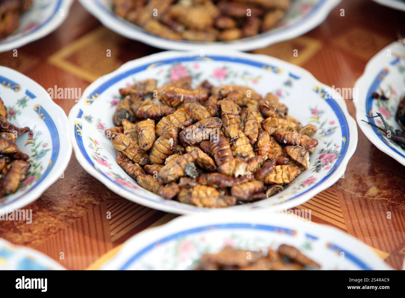 fry insects at a traditional Market in the city of Vientiane in Lao in ...