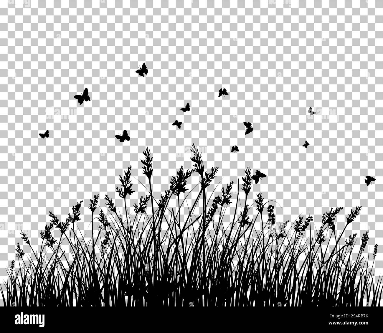Meadow silhouette with transparency grid on back. Vector Illustration ...
