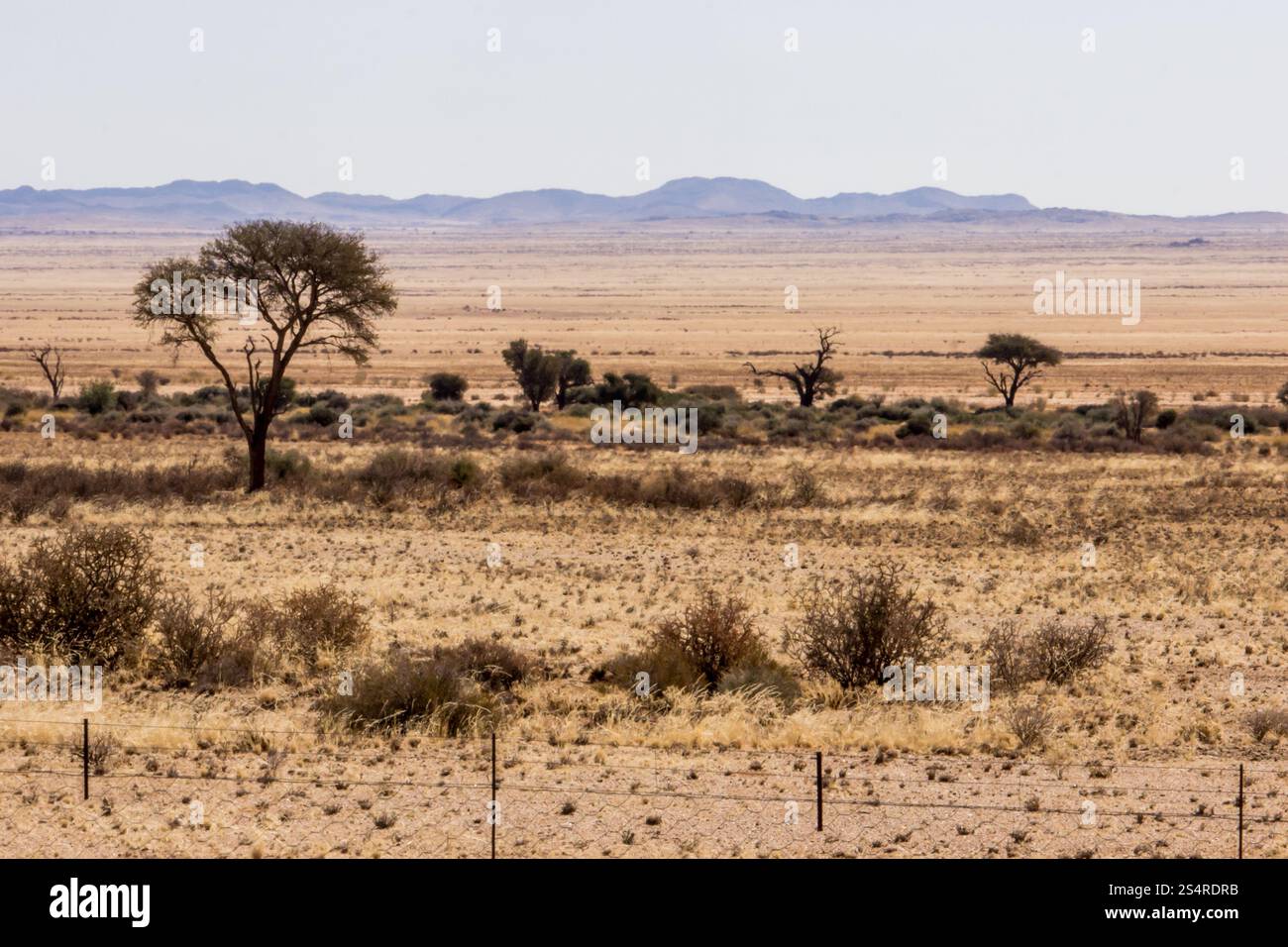 The apparent barren landscape of the pro-namib desert, in the south of ...