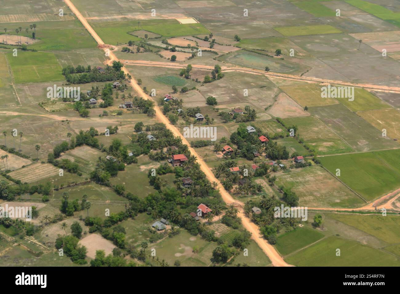 The Landscape with a ricefield near the City of Siem Riep in the west ...