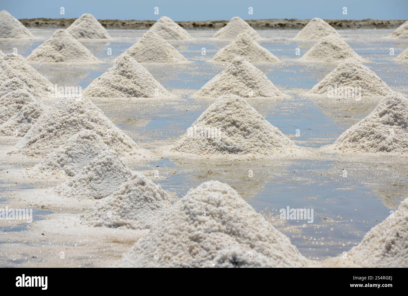 salt productuion outside of the city of Bangkok in Thailand in ...