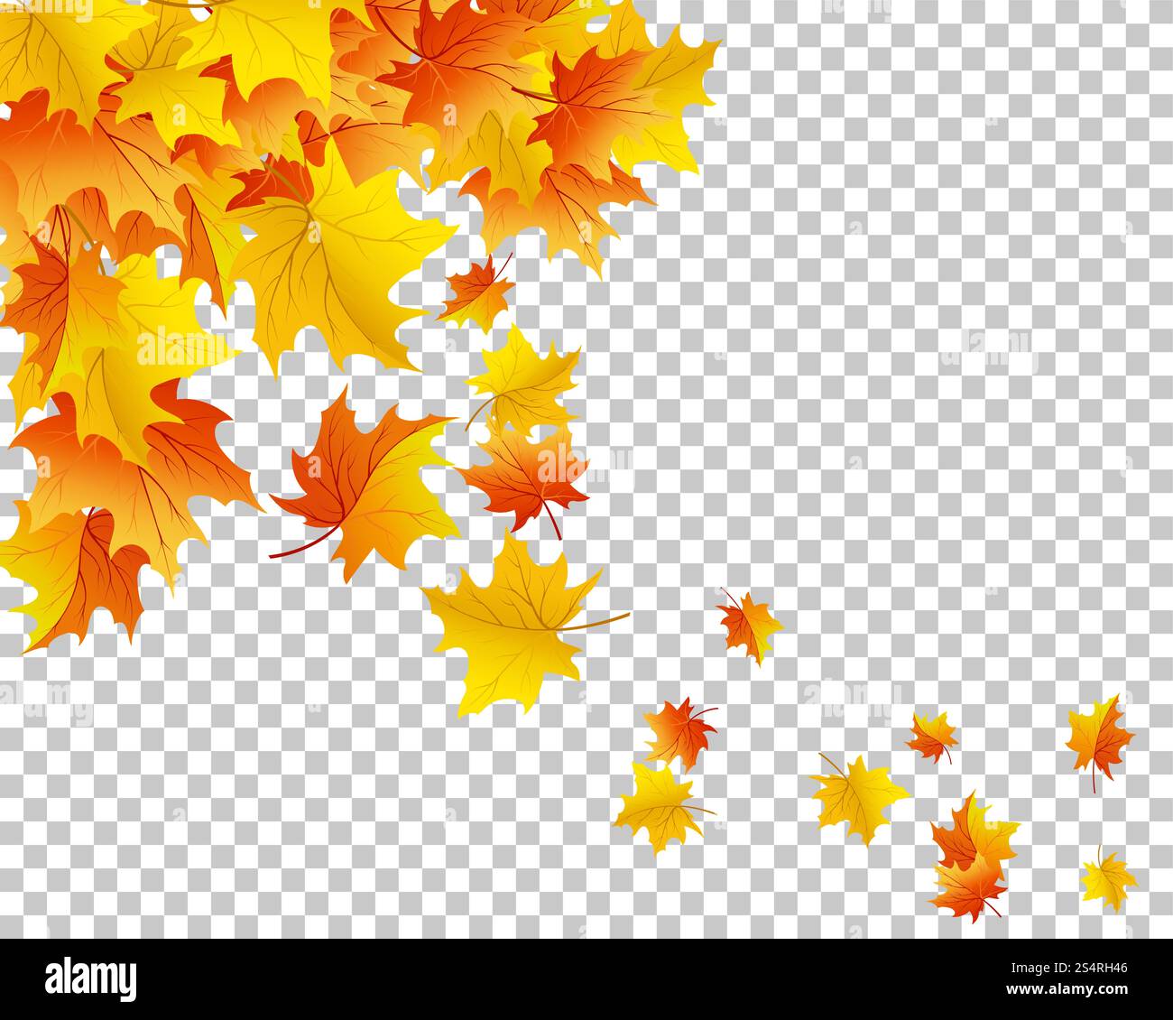 Falling maple leaves with transparency grid on back. Vector ...