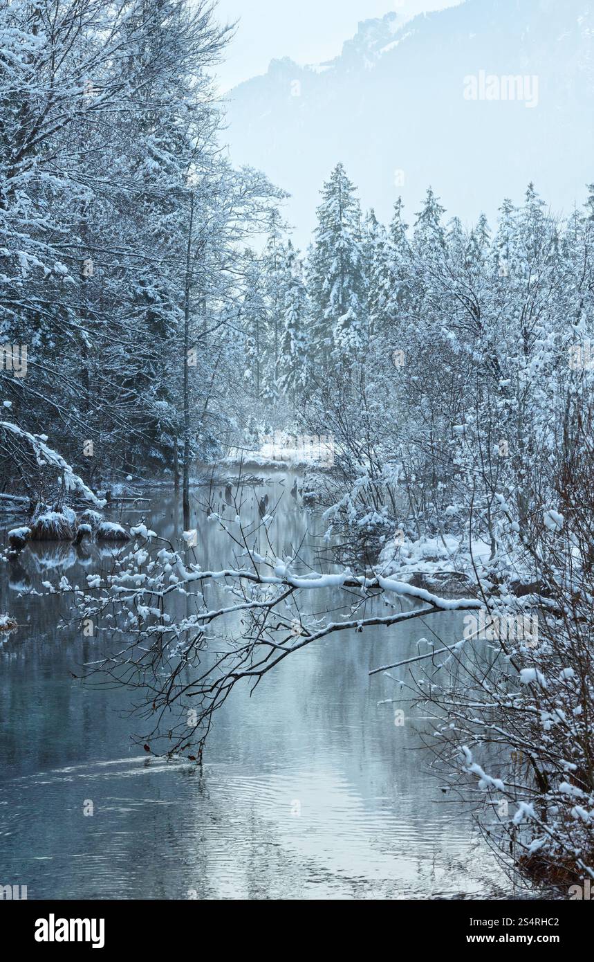 Small winter stream with snowy trees on bank Stock Photo - Alamy
