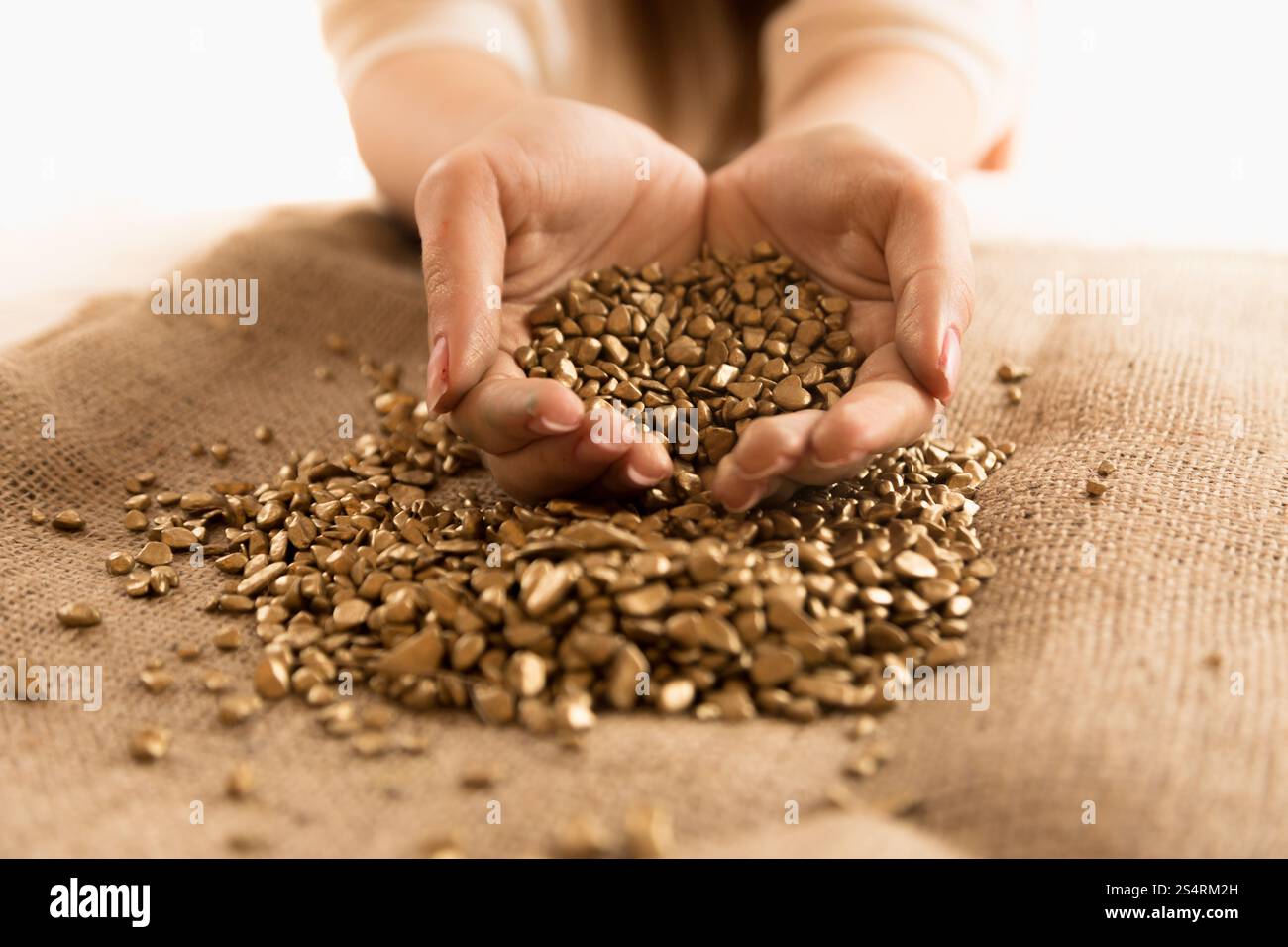 Gold nuggets in hands hi-res stock photography and images - Alamy