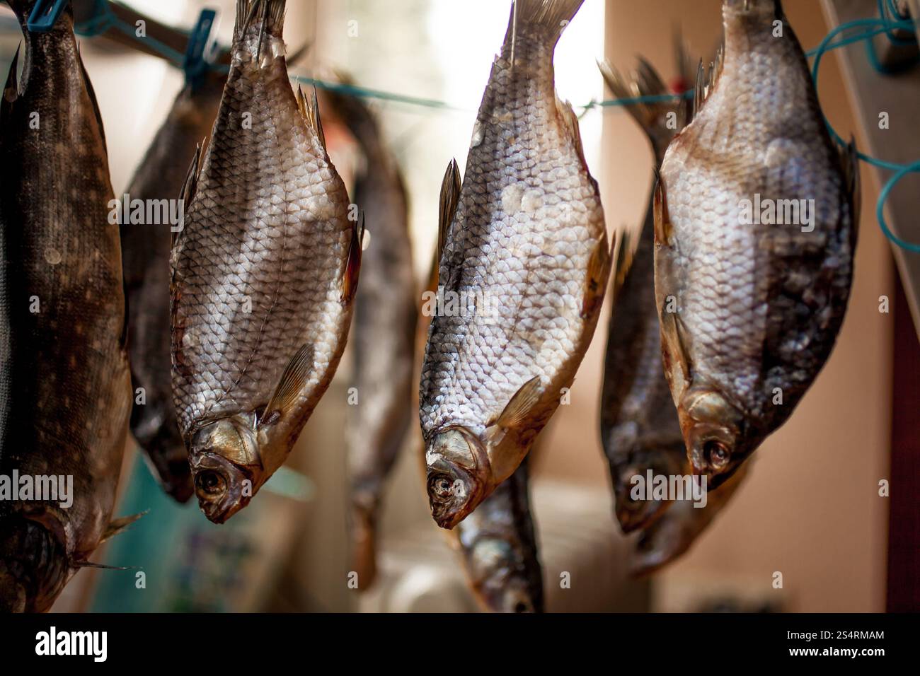 Closeup photo of row of drying salted fish Stock Photo - Alamy