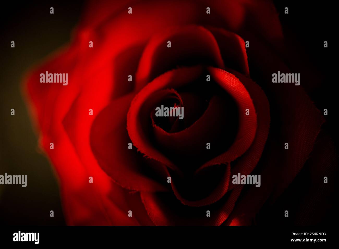 Closeup photo of artificial red rose shot against black background ...