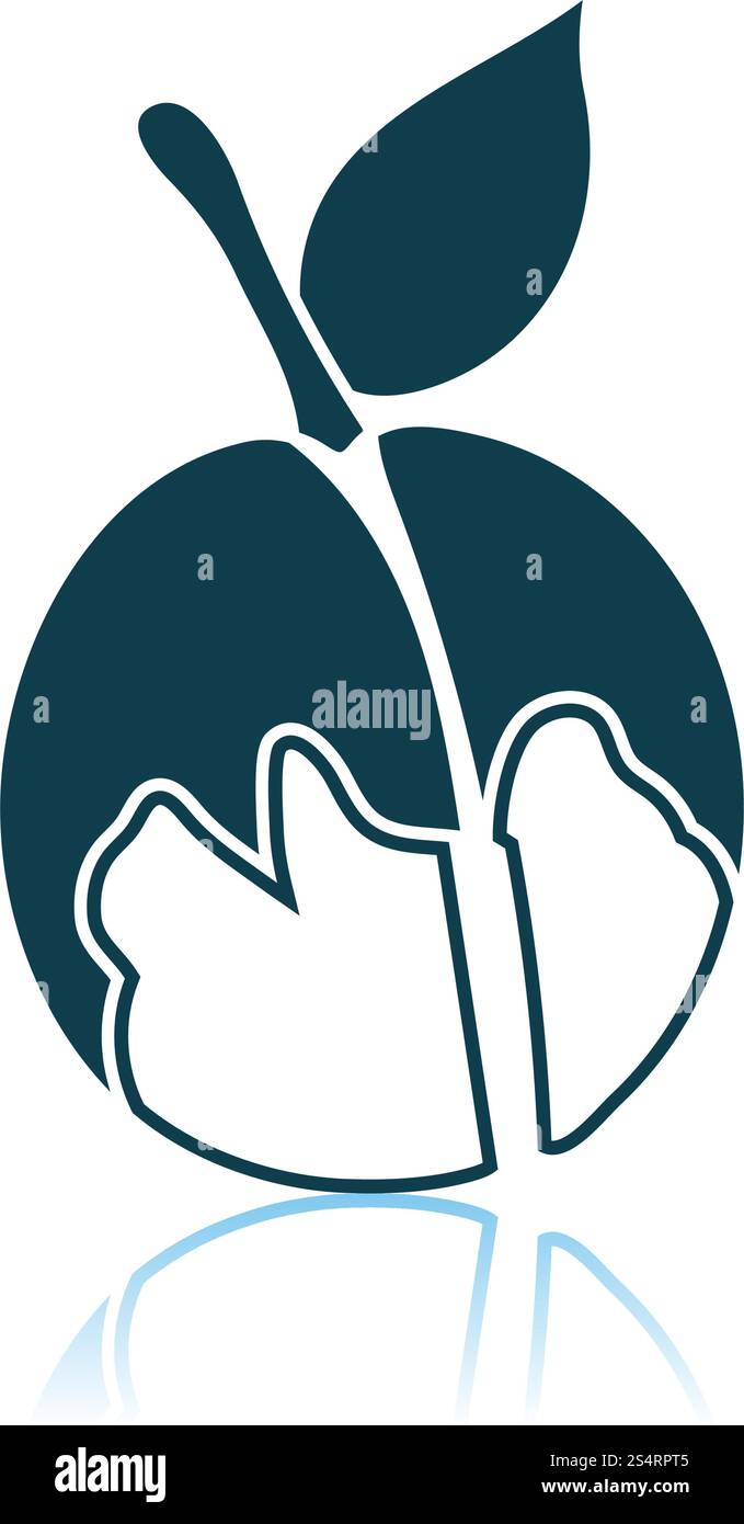 Icon Of Peach. Shadow Reflection Design. Vector Illustration Stock ...