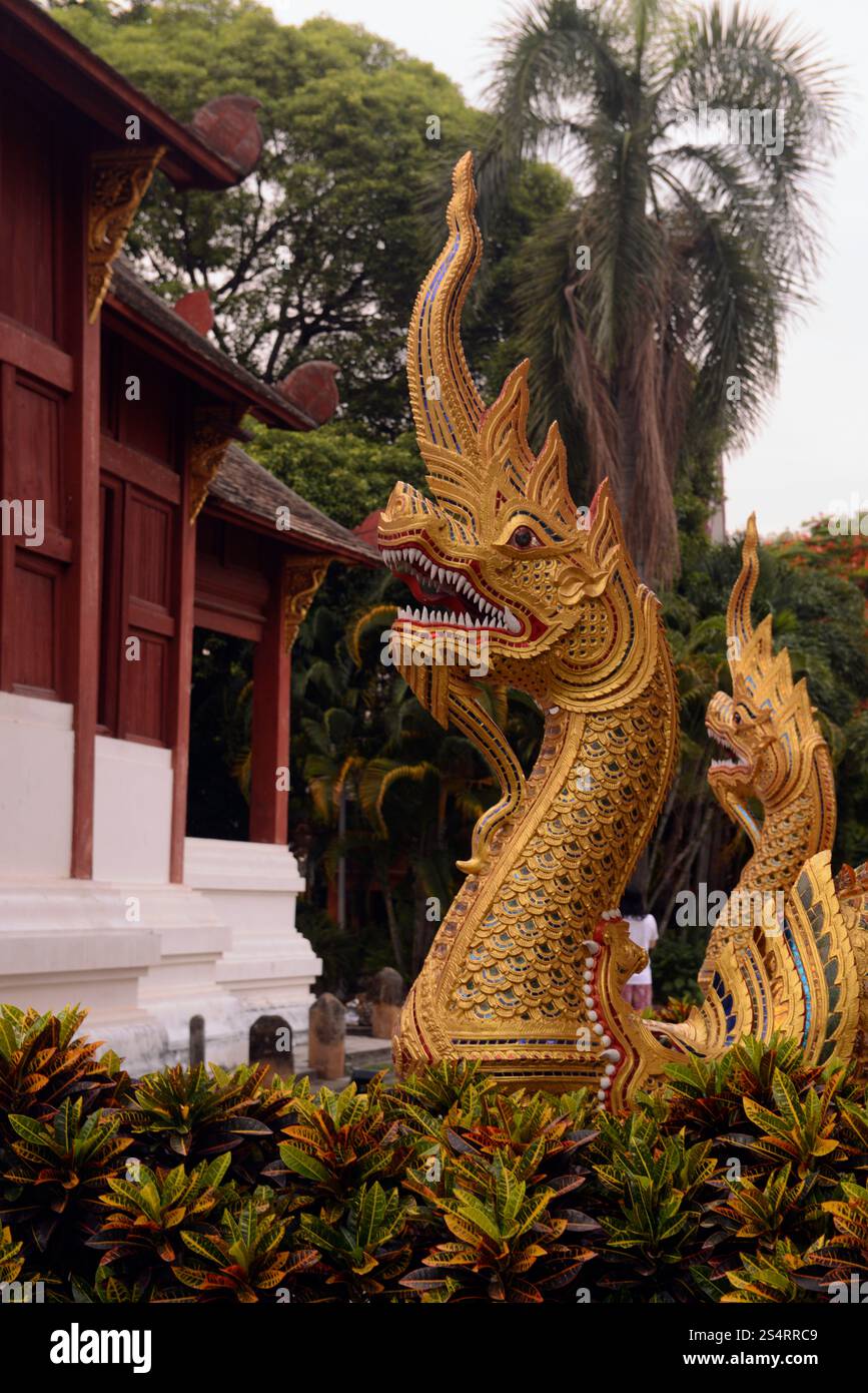 the wat Phra Sing in the city of chiang mai in the north of Thailand in ...