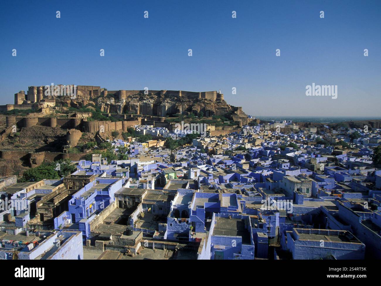 the blue city in the old town of Jodhpur in Rajasthan in India. ASIA ...