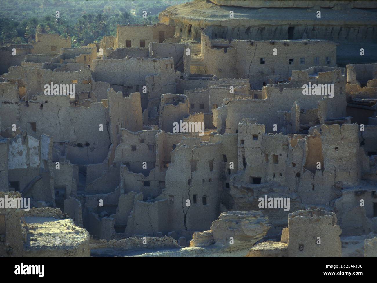 the village of the oasia of siwa in the sahara desert in Egypt in North ...