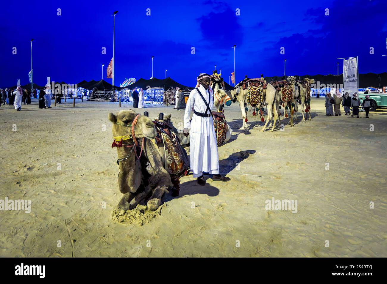 Desert safari camel ride festival in Abqaiq Dammam Saudi Arabia ...