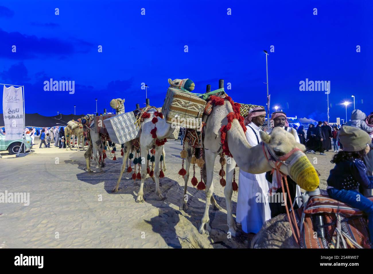 Desert safari camel ride festival in Abqaiq Dammam Saudi Arabia ...