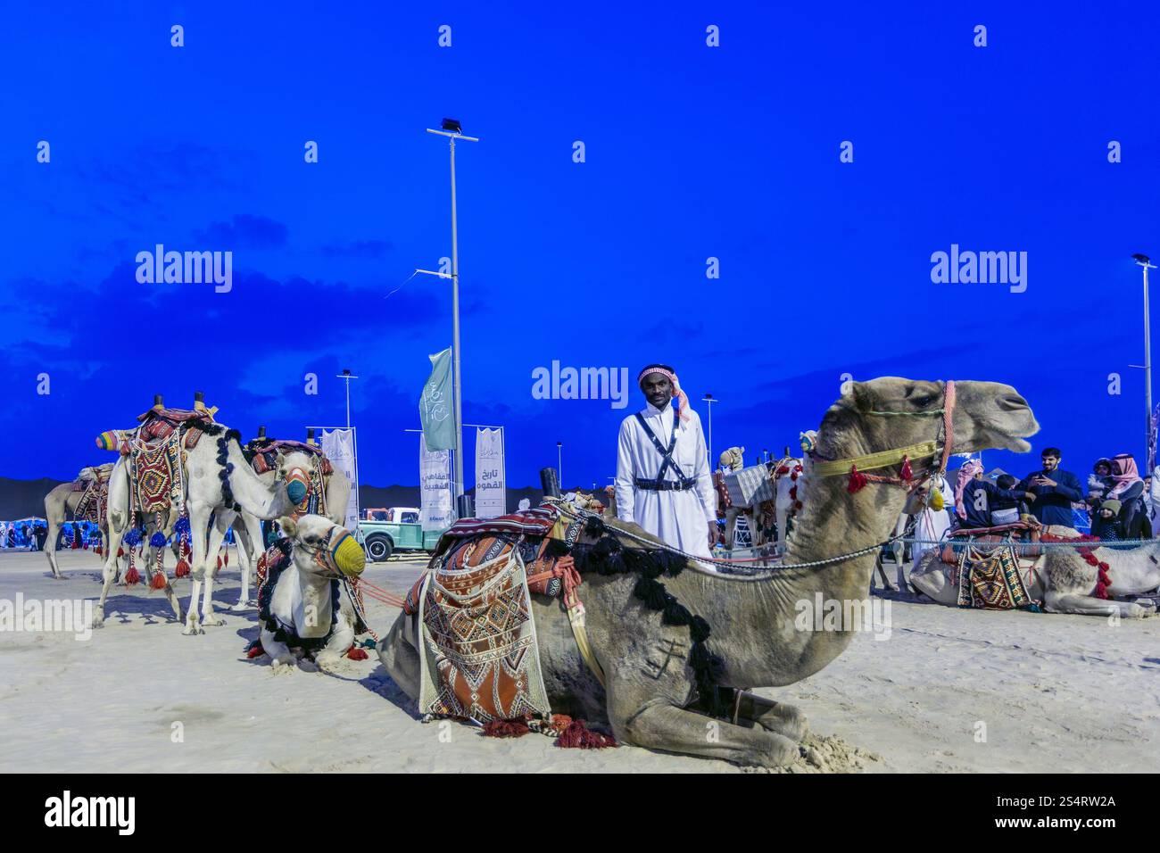 Desert safari camel ride festival in Abqaiq Dammam Saudi Arabia ...