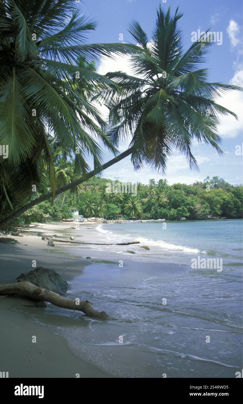a Beach at the Village of Las Terrenas on Samanaon in The Dominican ...