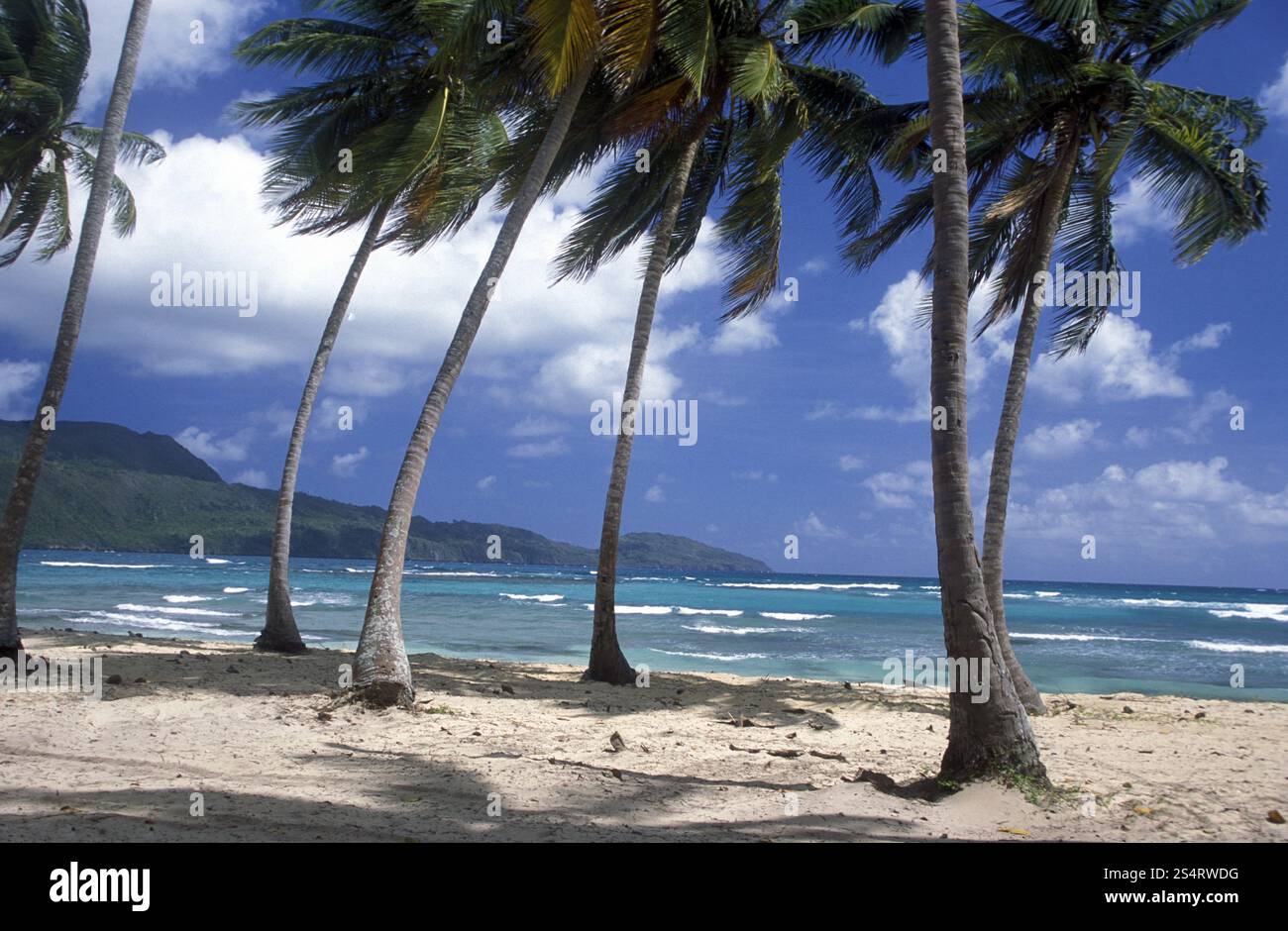 a Beach at the Village of Las Terrenas on Samanaon in The Dominican ...