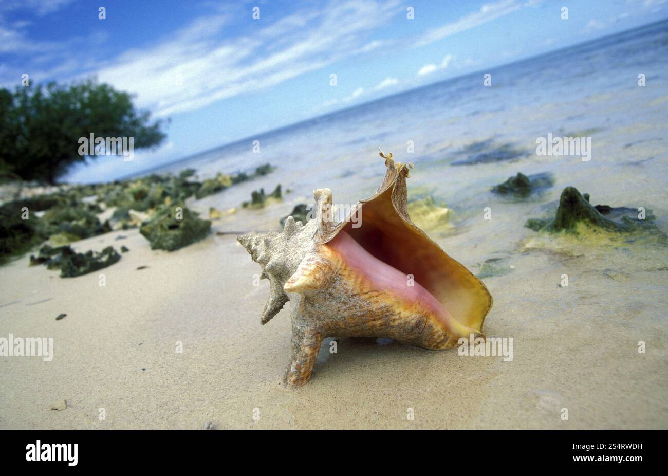 the coast of the Village of Bayahibe in the Dominican Republic in the ...