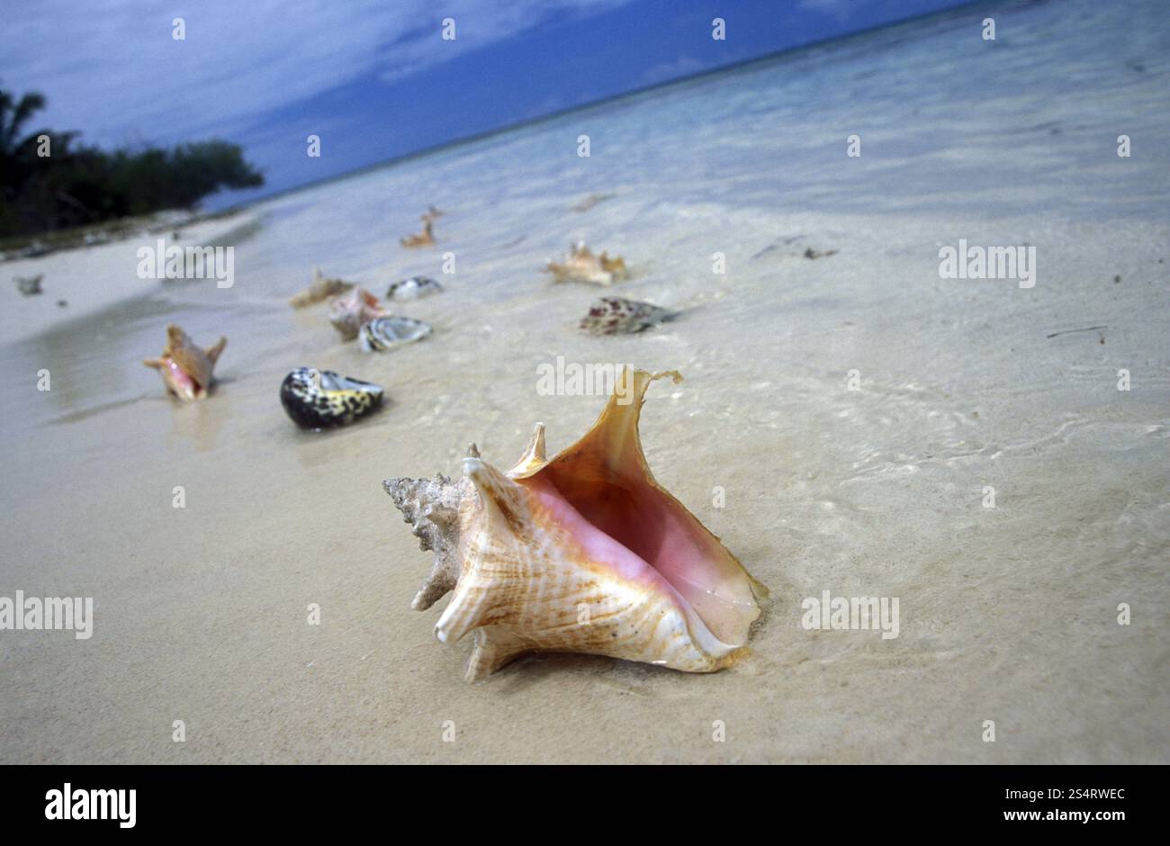 the coast of the Village of Bayahibe in the Dominican Republic in the ...