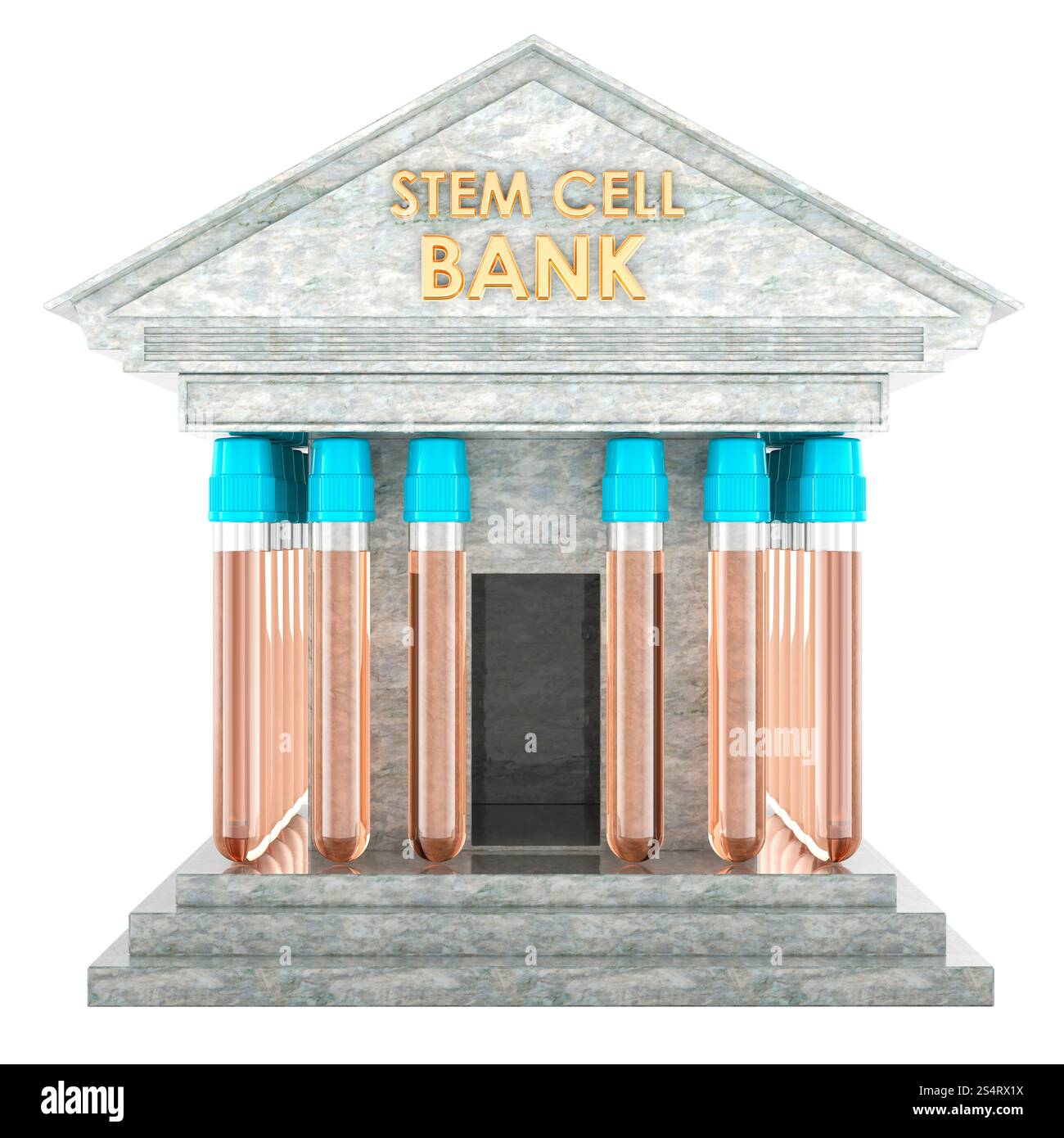 Stem storage Cut Out Stock Images & Pictures - Alamy