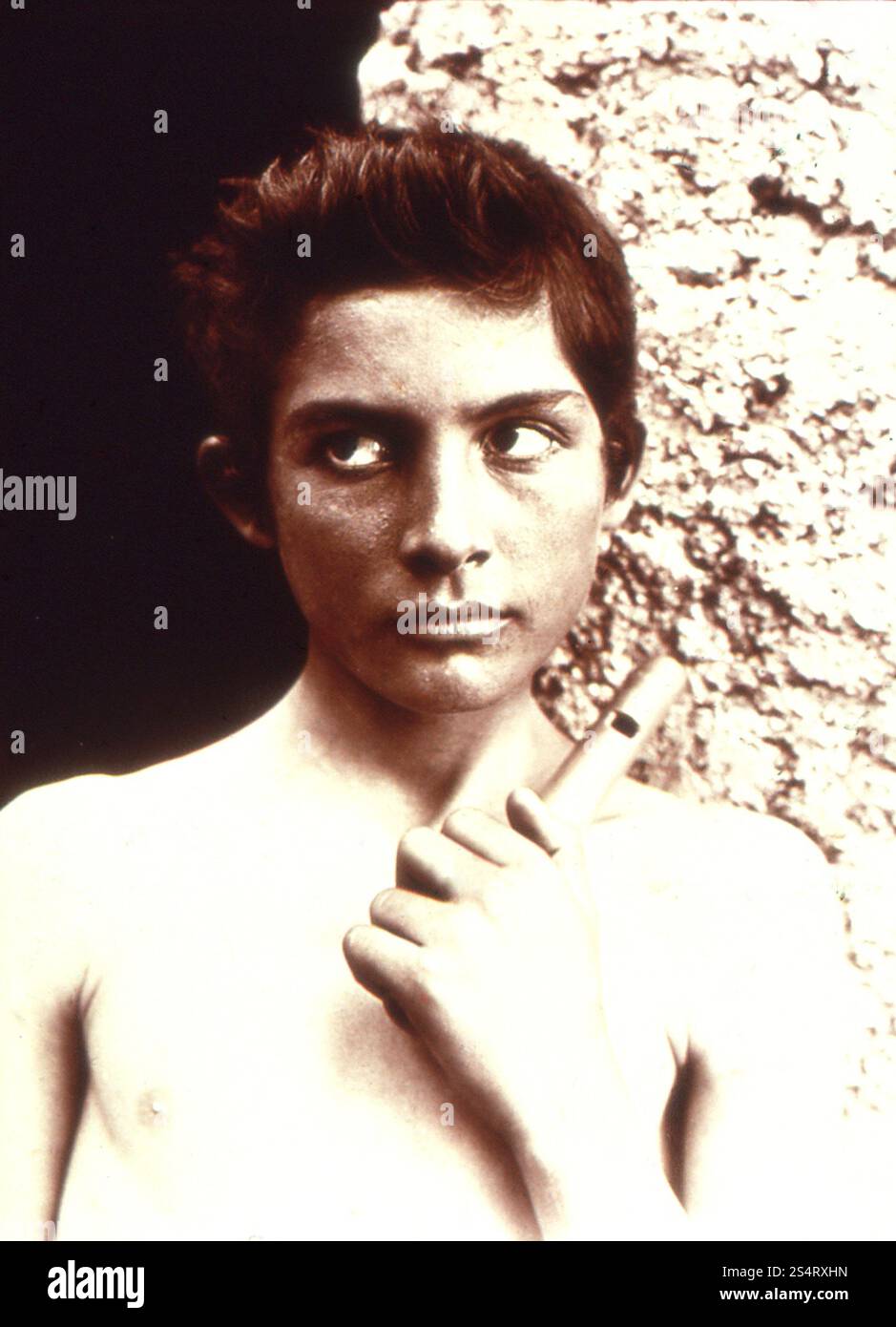 Portrait of Sicilian boy, by German photographer Wilhelm Von Gloeden ...