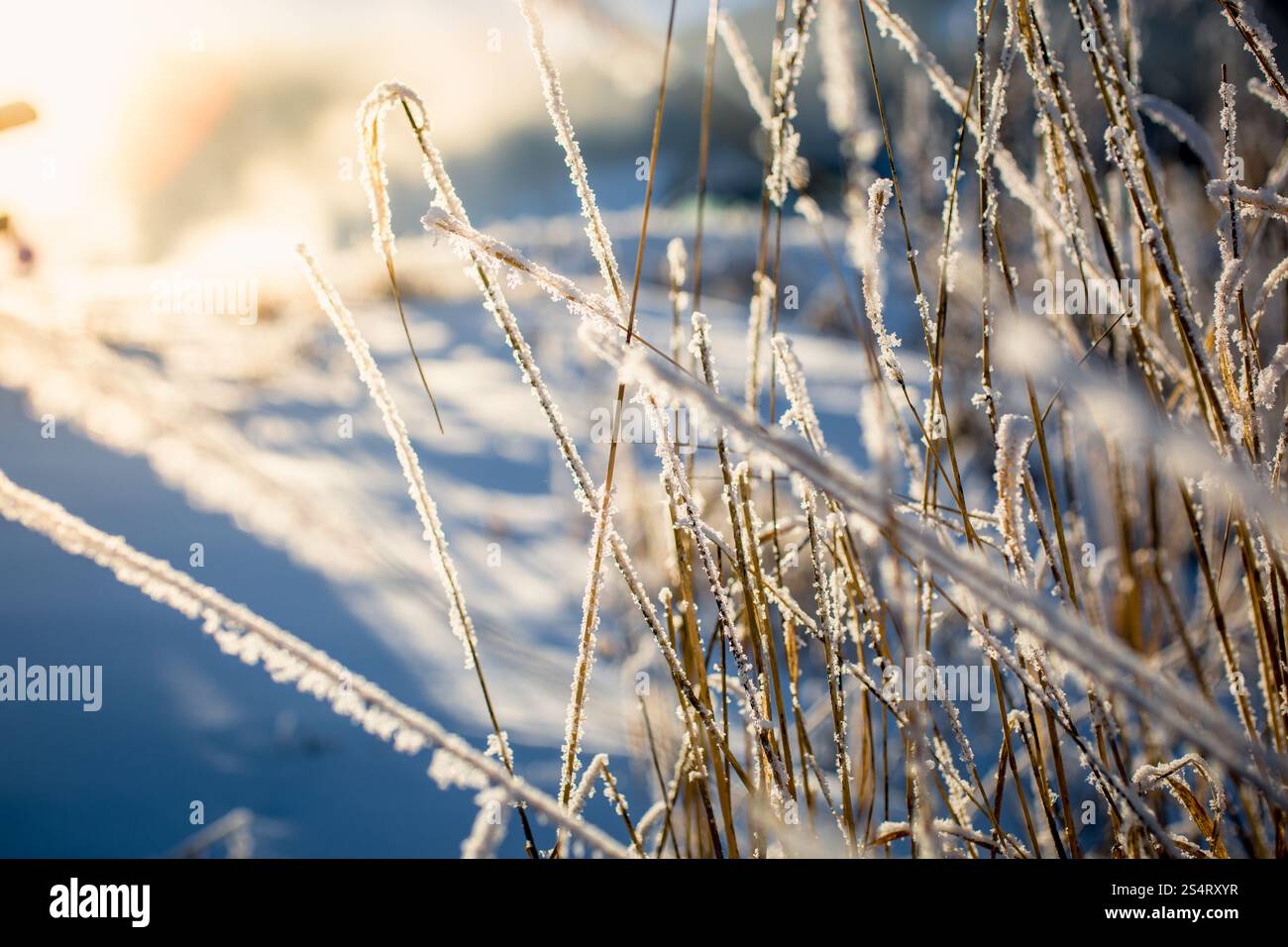 Beautiful spring day view hi-res stock photography and images - Alamy