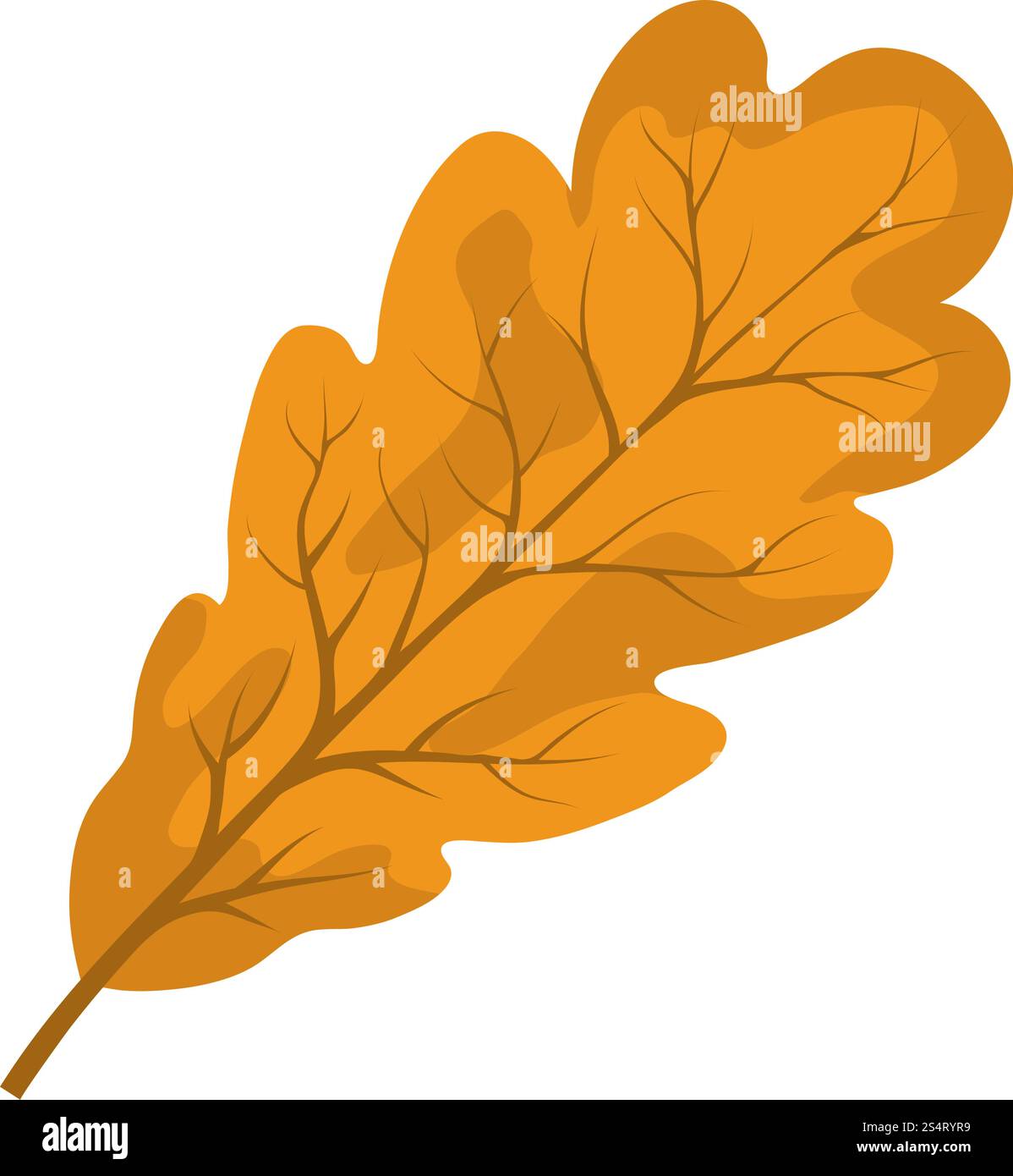Autumn Oak Leaf. Fall Collection. Vector illustration Stock Vector ...