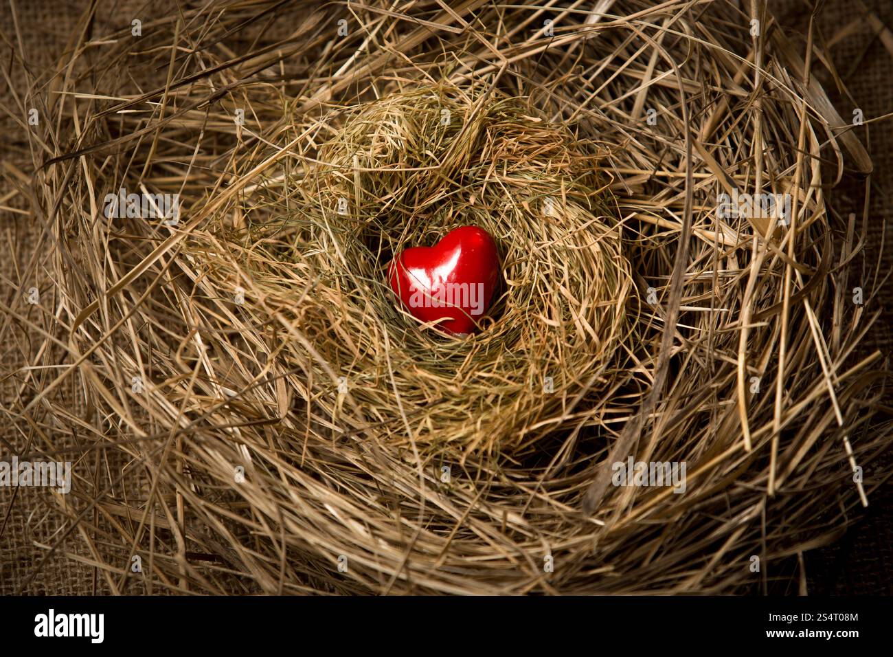 Little red heart lying in birds nest Stock Photo - Alamy