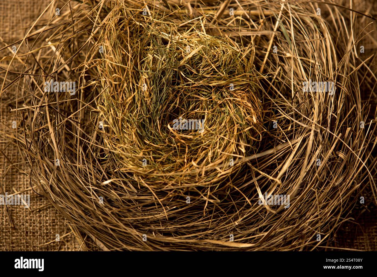 Birds nest made straw hi-res stock photography and images - Alamy