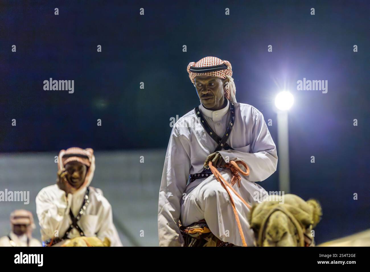 Desert safari camel ride festival in Abqaiq Dammam Saudi Arabia ...