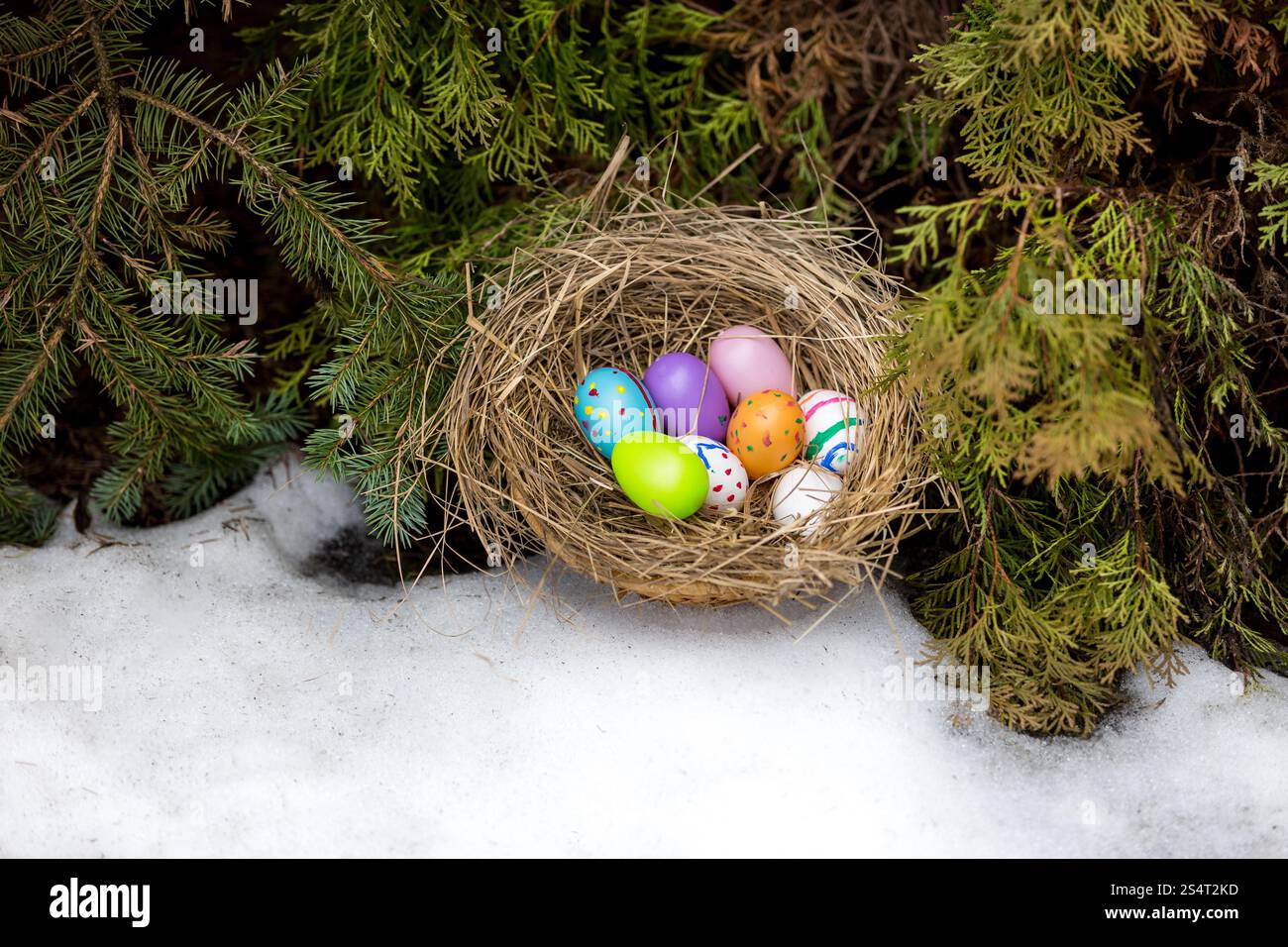 Closeup photo of painted Easter eggs hidden in nest at backyard Stock ...