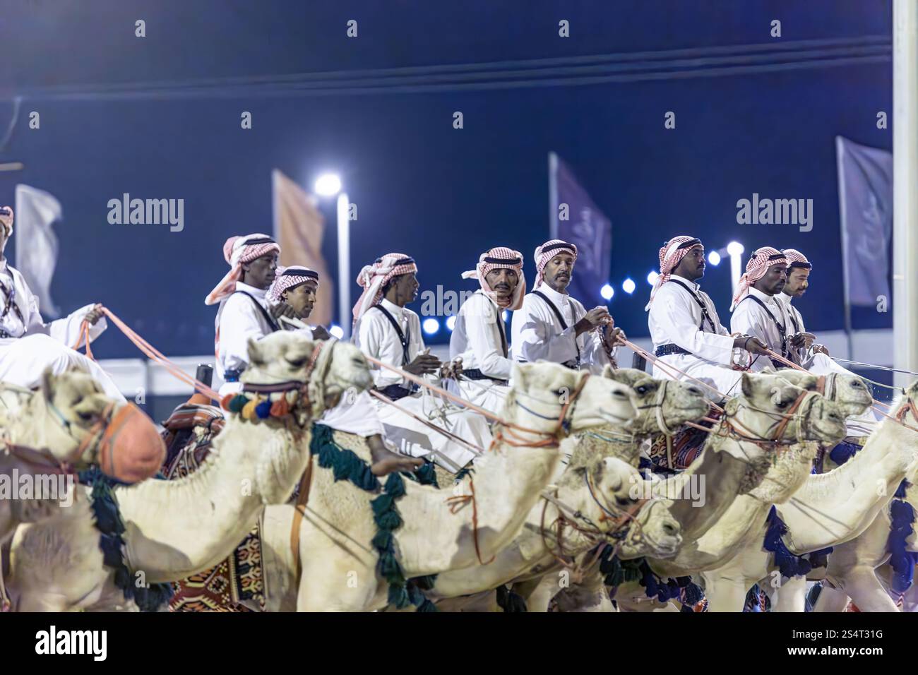 Desert safari camel ride festival in Abqaiq Dammam Saudi Arabia ...