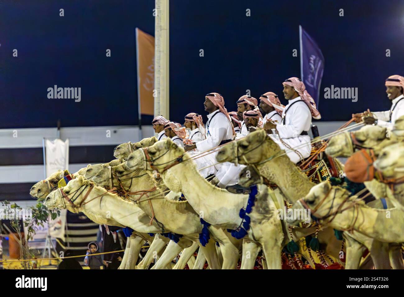 Desert safari camel ride festival in Abqaiq Dammam Saudi Arabia ...