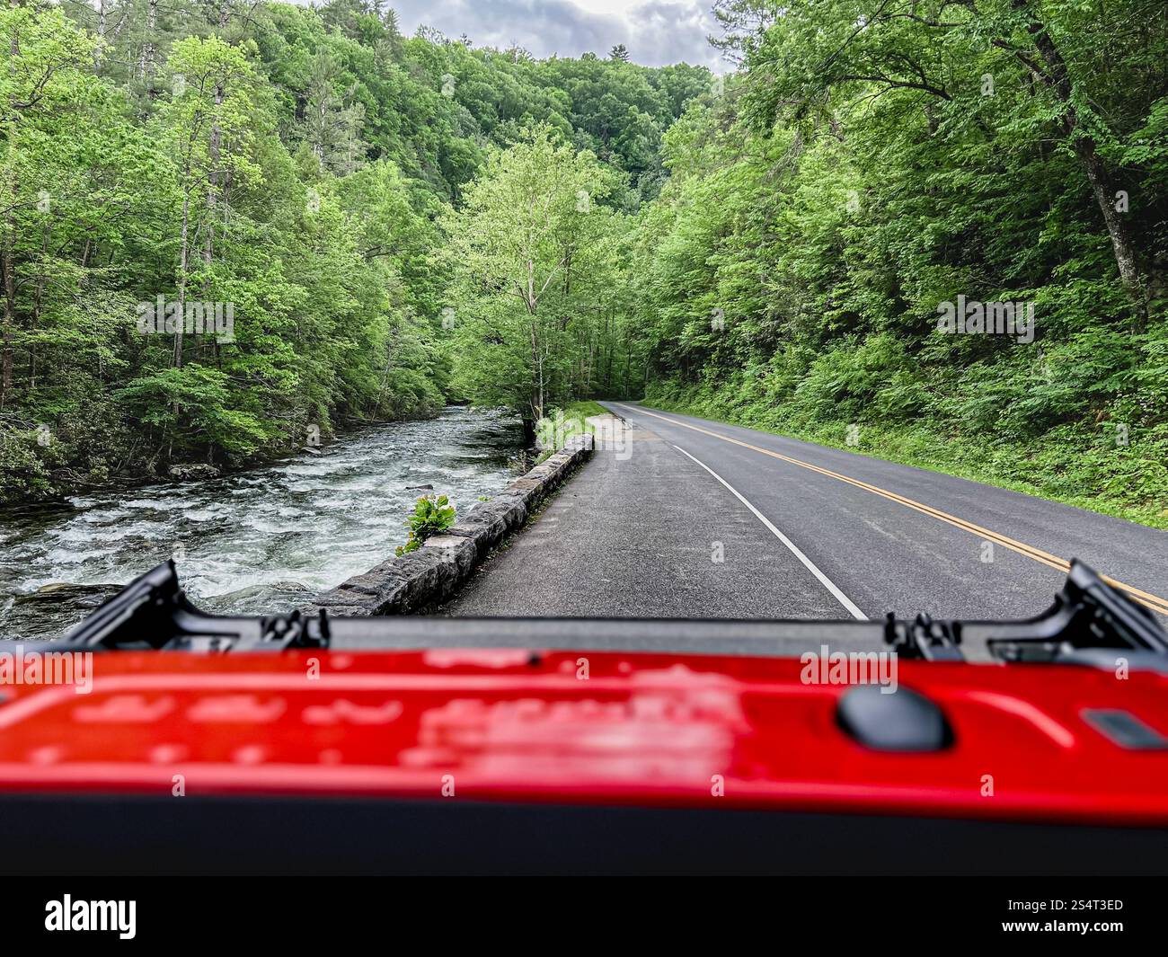 Sceneic drive through national forest Stock Photo - Alamy
