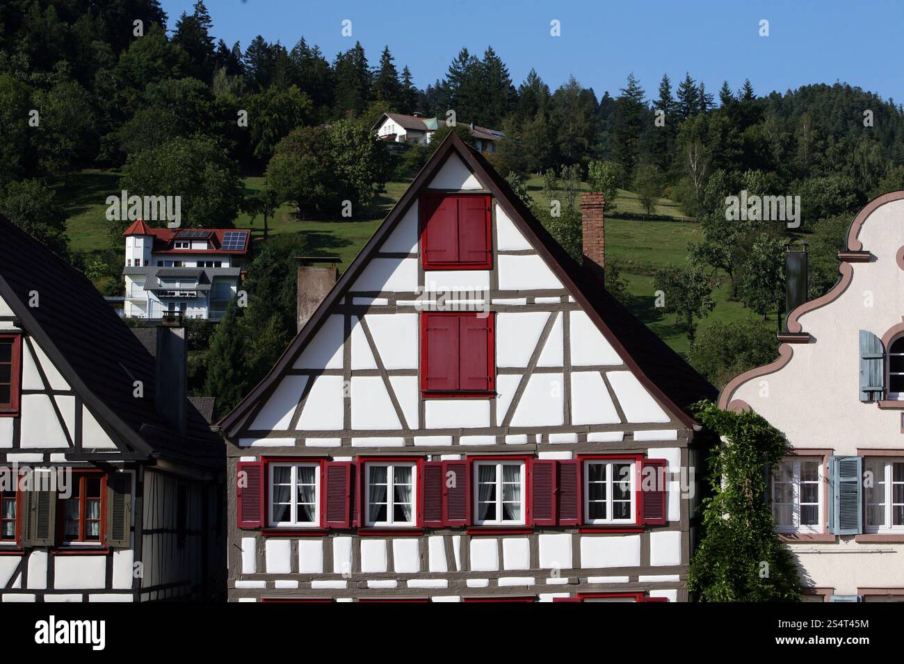 the old town of the villige Schiltach in the Blackforest in the south ...