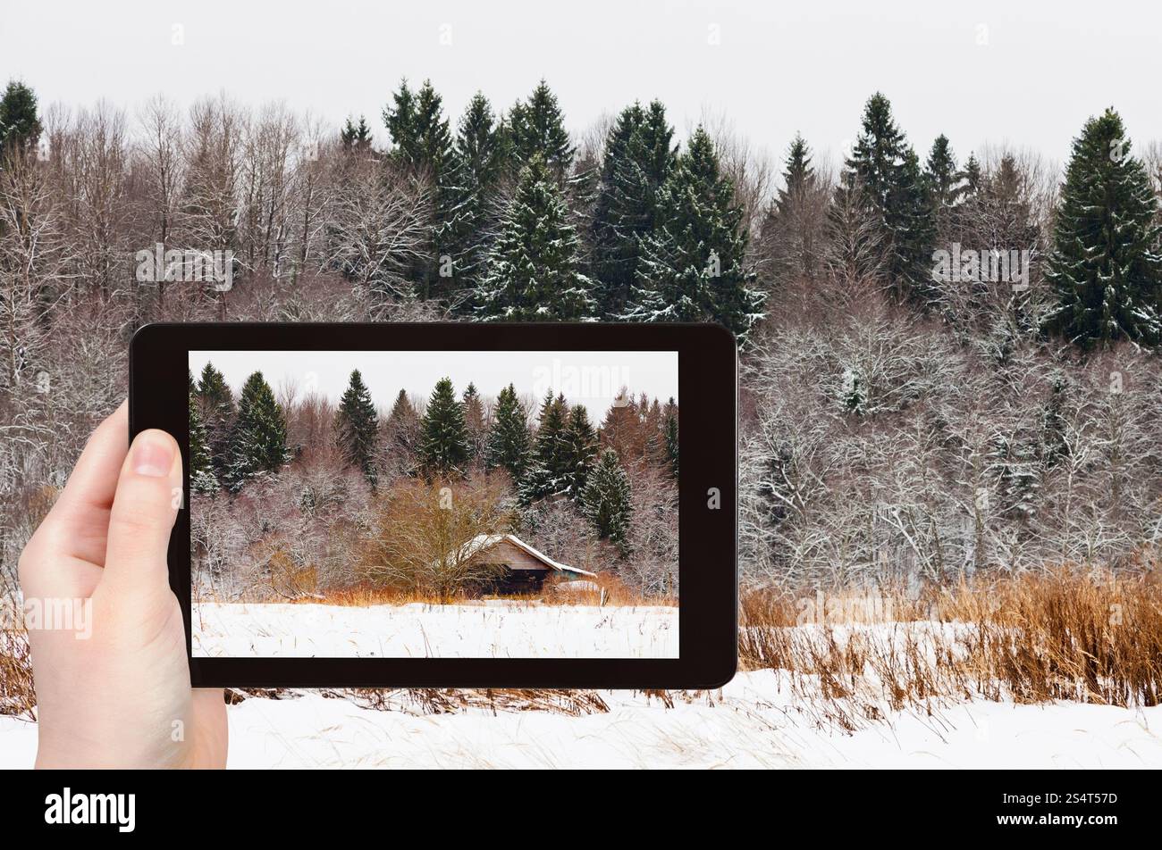 travel concept - tourist takes picture of low wooden house on edge of ...