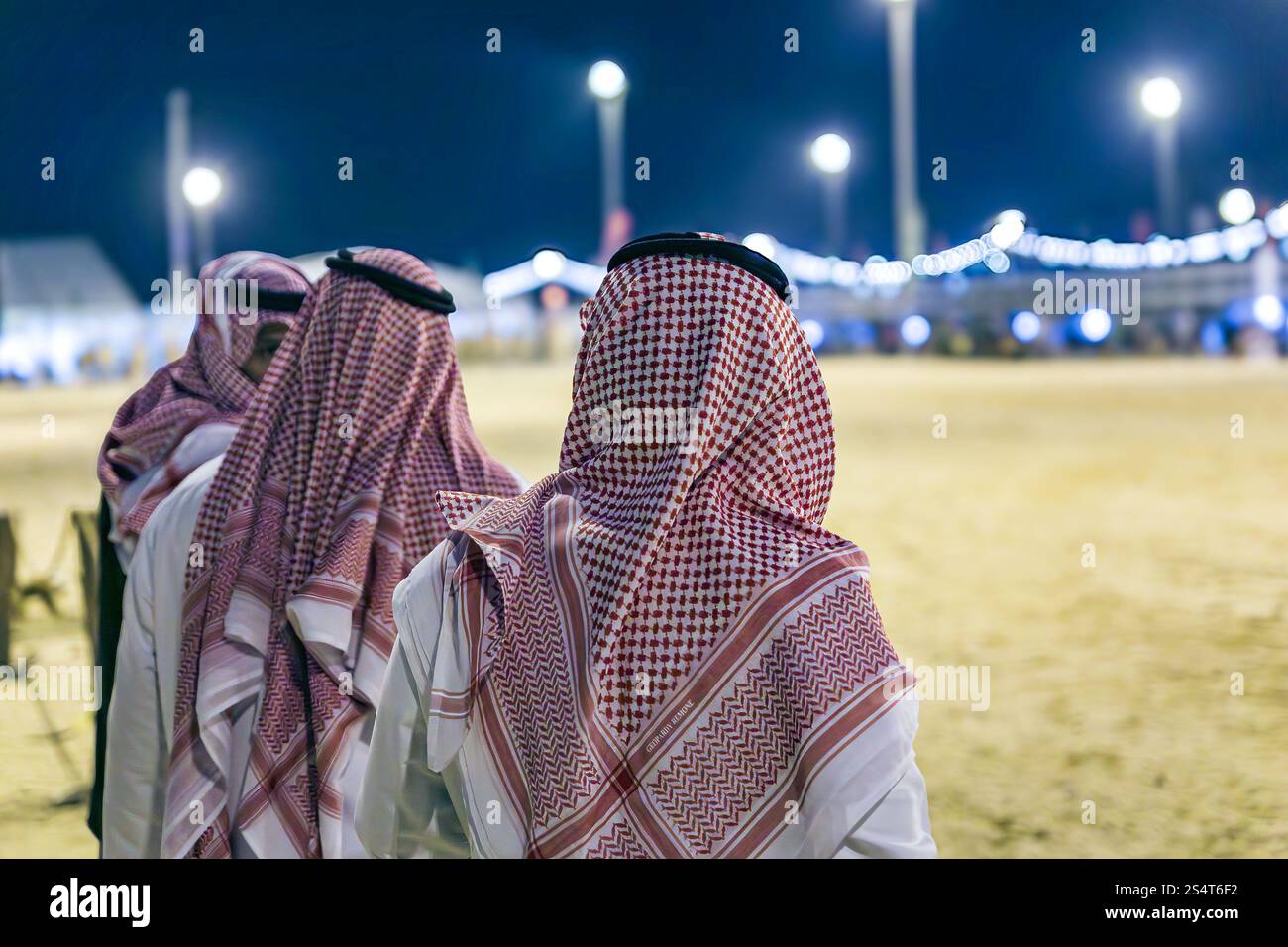 Desert safari camel ride festival in Abqaiq Dammam Saudi Arabia.This ...