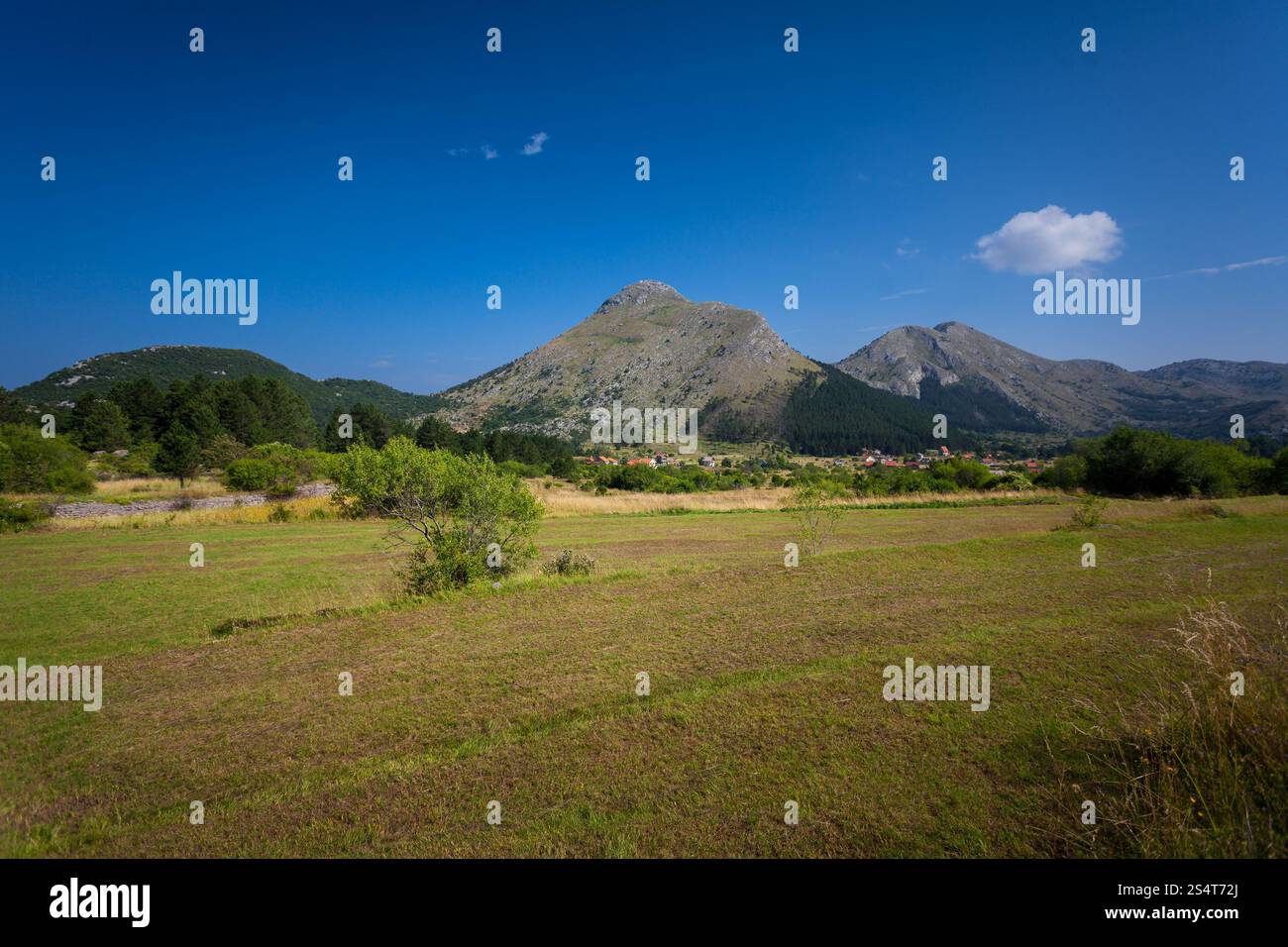 Beautiful summer fields forest hi-res stock photography and images - Alamy