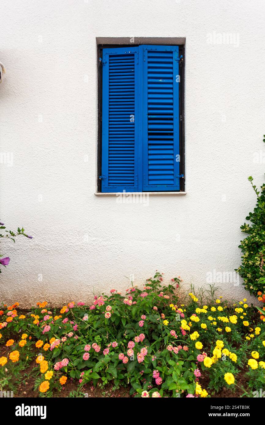 Beautiful blue window in greek style at old house Stock Photo - Alamy